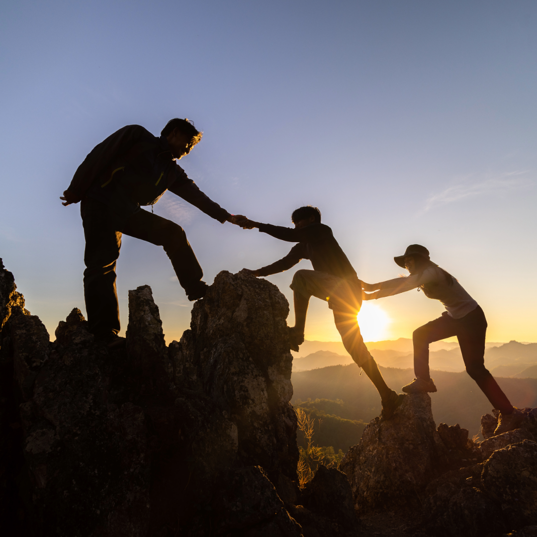 Homepage | Mediroyal